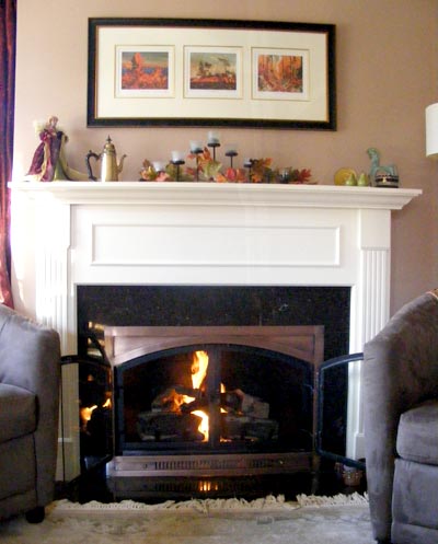 Ottawa Fireplace Gallery - Romantic Fireplaces and BBQ's